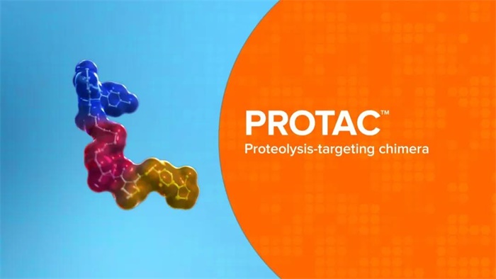 Nature子刊：王津团队开发新型PROTAC，增强其细胞内积累和蛋白降解效果_经济学人 - 手机前瞻网